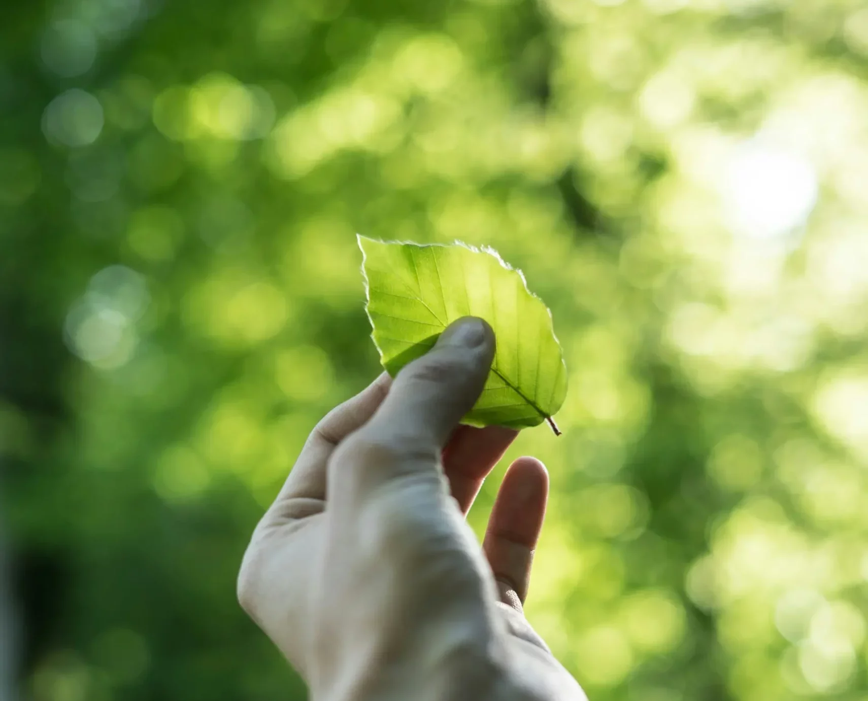 Sustainability and CSR | Bright Vision Events